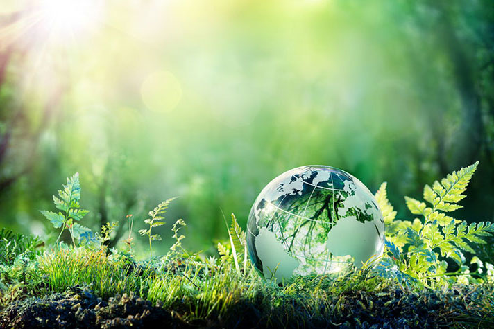 What Will Save The World? - Real Conscious Living